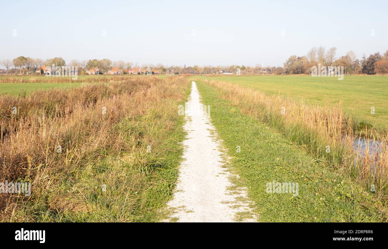 Simple small bike trail in the dutch landscape (Friesland Stock Photo ...