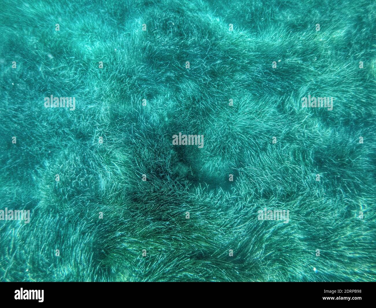 Fond marin hi-res stock photography and images - Alamy