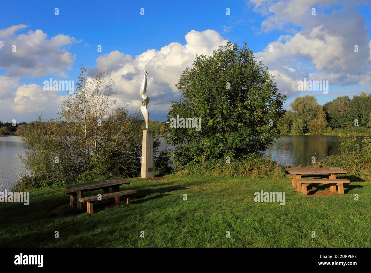 View over Gunwade Lake, Ferry Meadows country park, Peterborough ...
