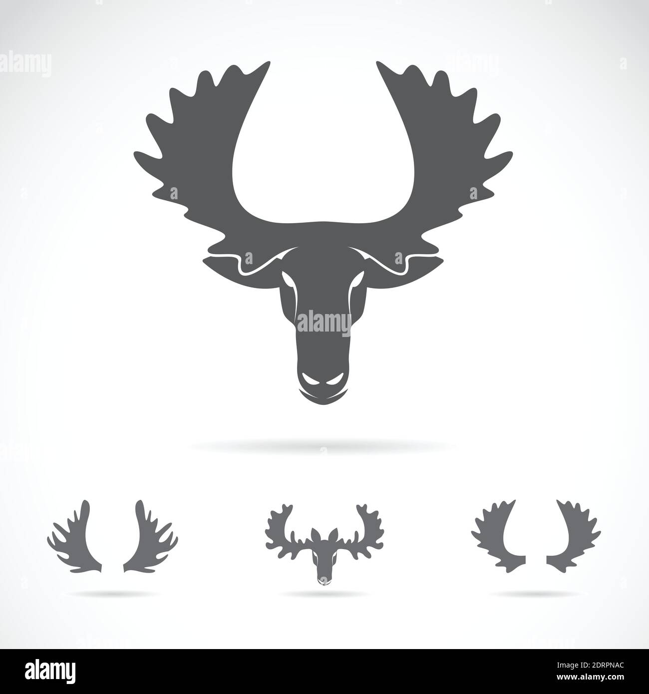 Vector of an moose head on a white background. Easy editable layered ...