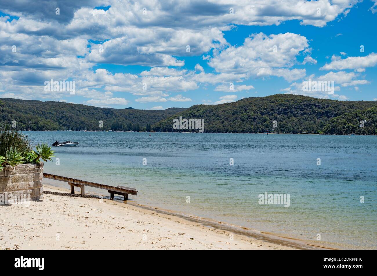 Landing point of palm Stock Photo - Alamy