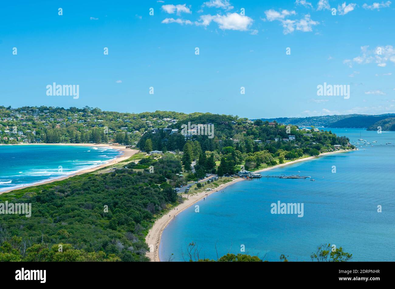Curve and round of palm beach Stock Photo - Alamy