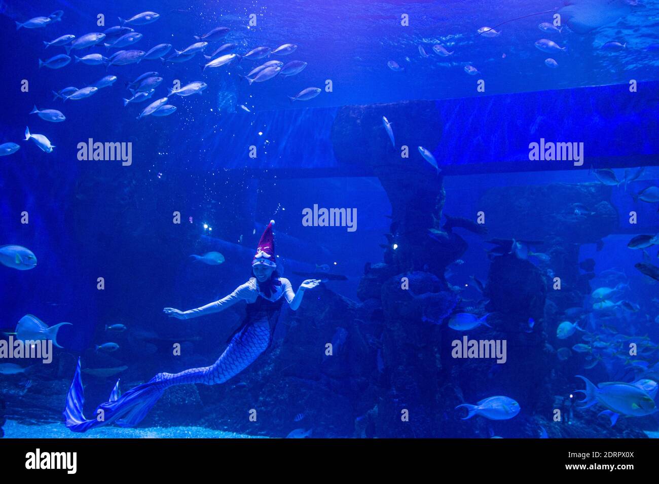 Mermaid costume hi-res stock photography and images - Alamy