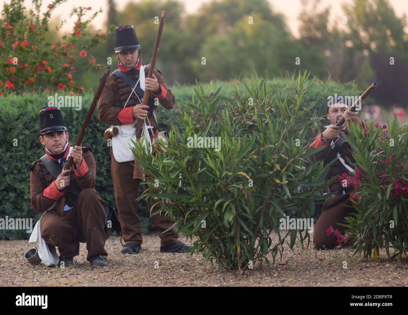 The battle of albuera hi-res stock photography and images - Alamy