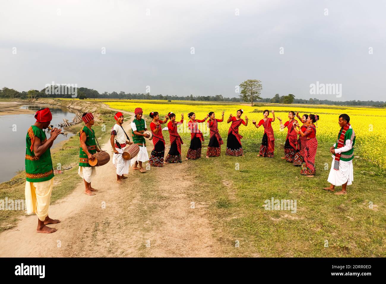 Traditional dance mising tribe youth near mustard oil field in hi-res ...