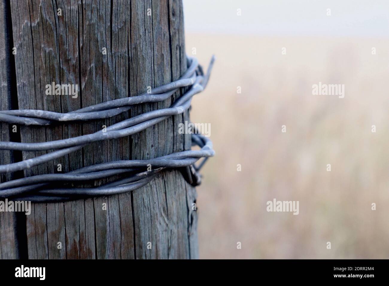 Twisted wooden fence hi-res stock photography and images - Alamy