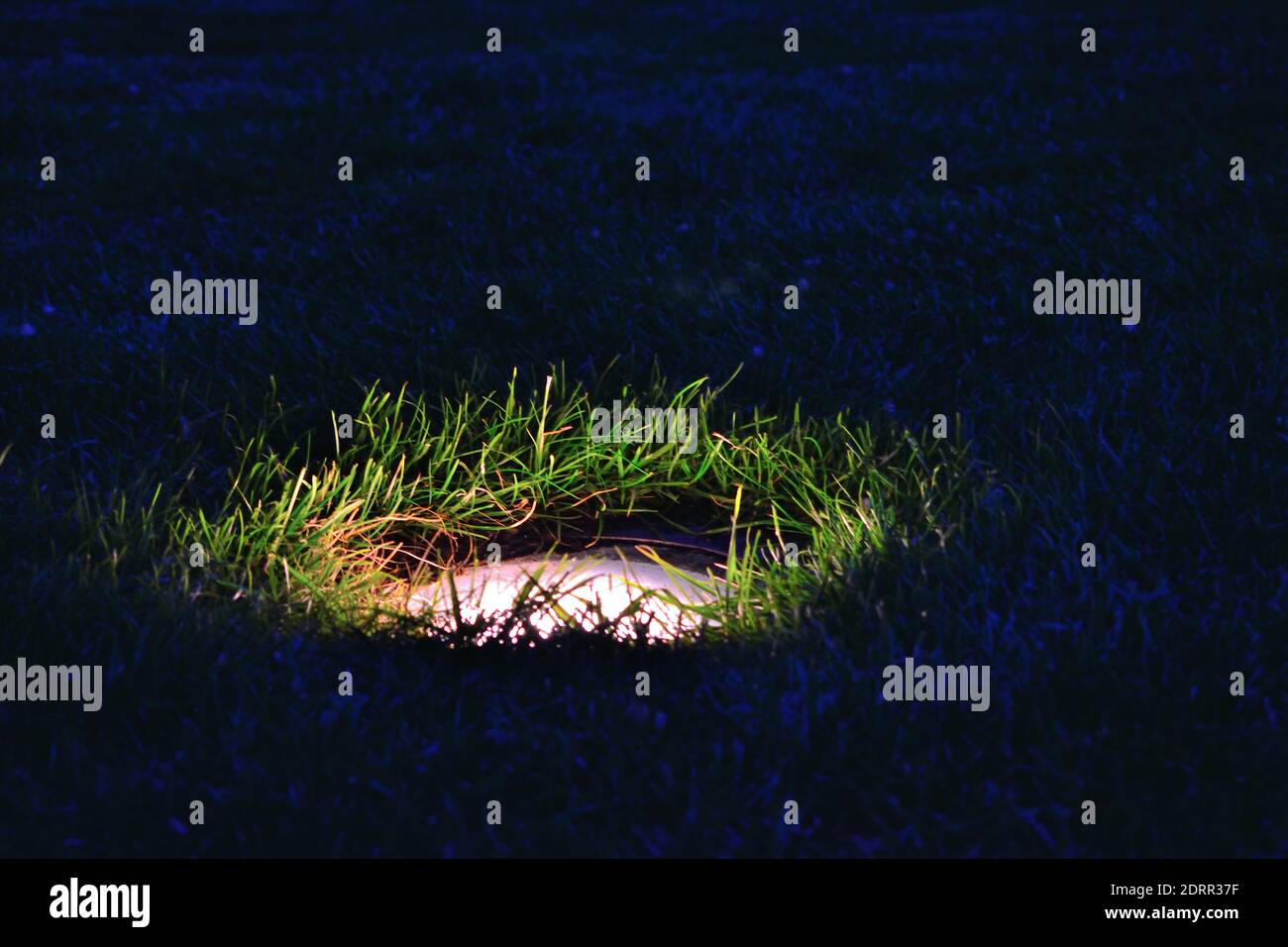 Floor Light in the Ground Lighting Up the Grass Around It Stock Photo ...
