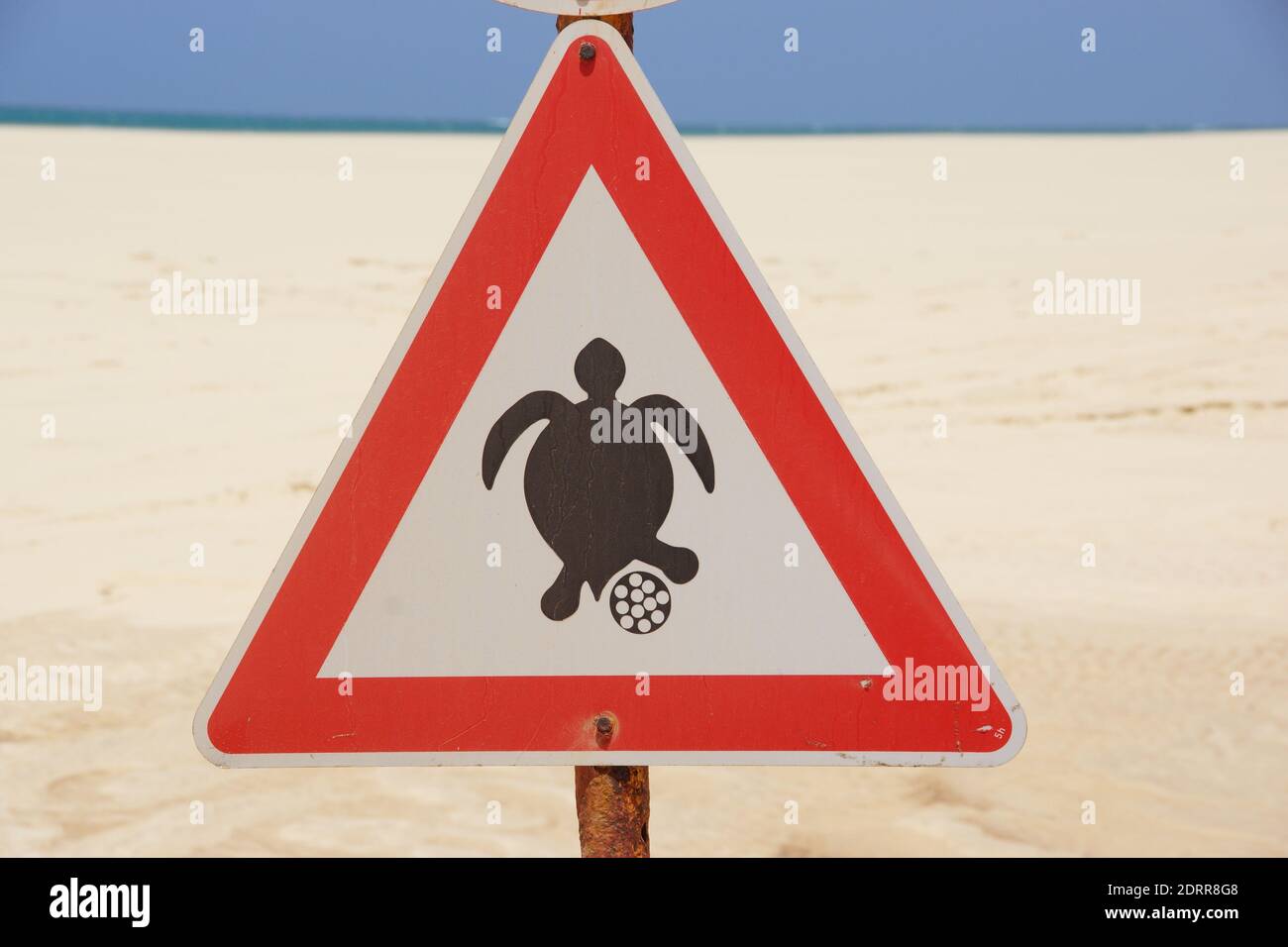 Warning sign turtle nest hi-res stock photography and images - Alamy