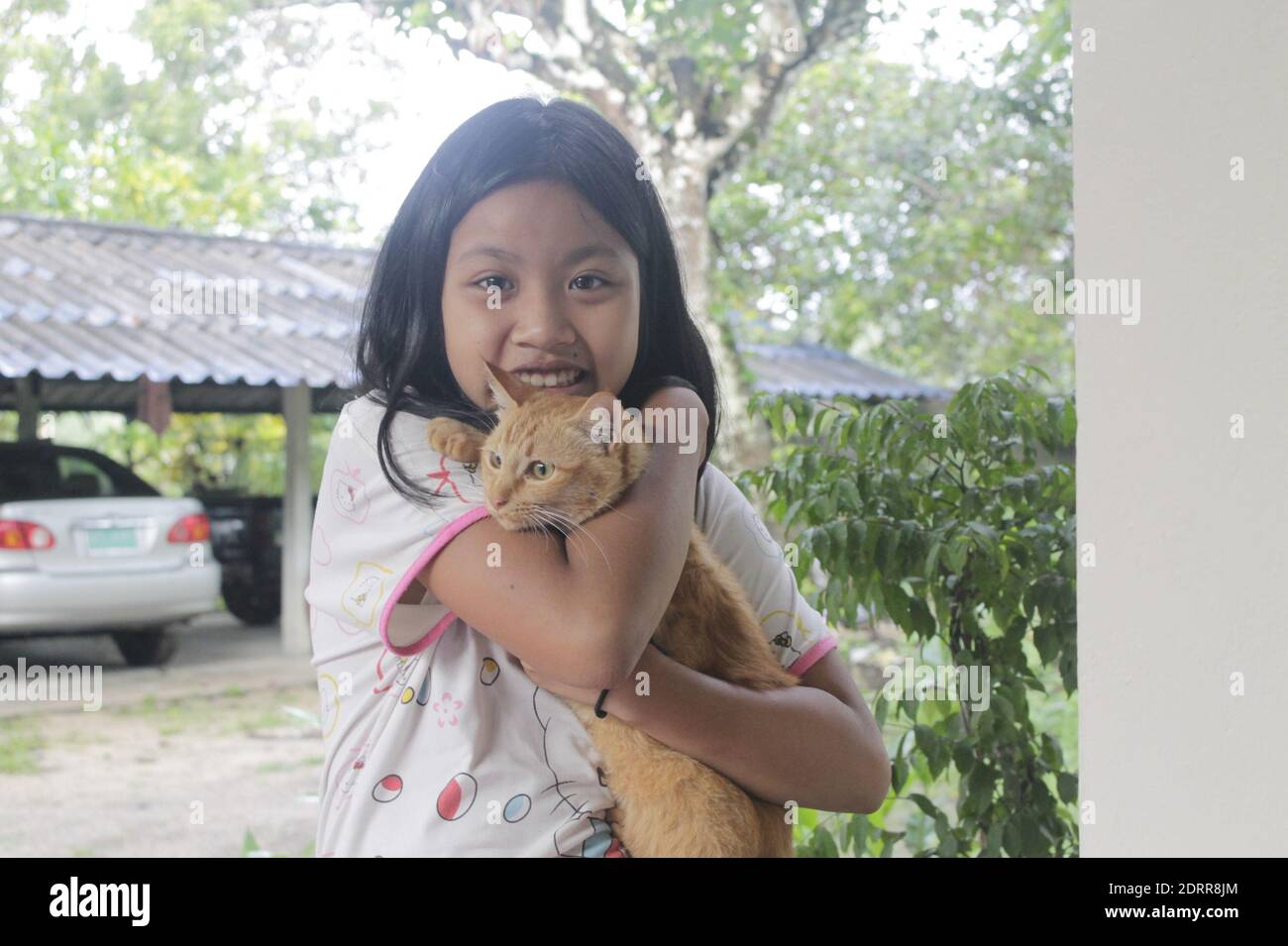 Indian girl with pet cat hi-res stock photography and images - Alamy