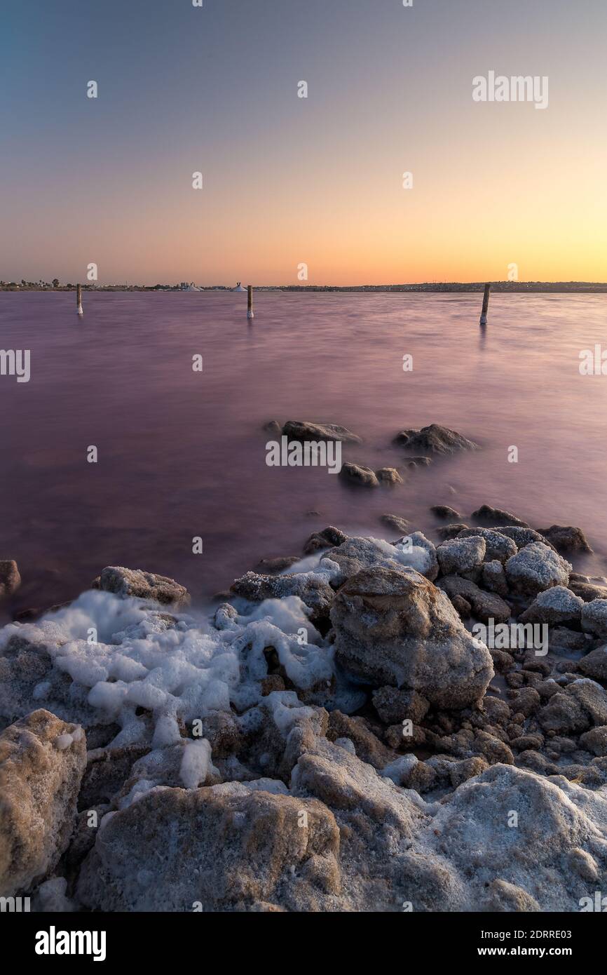 A vertical shot of the pink sea with long exposure in the evening in ...