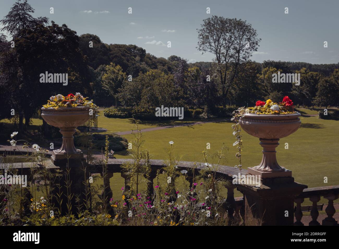 The potted plants look over the beautiful meadows of Avenham Park ...