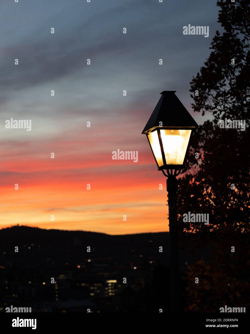 A vertical shot of a silhouette of an illuminated lamp post with an ...