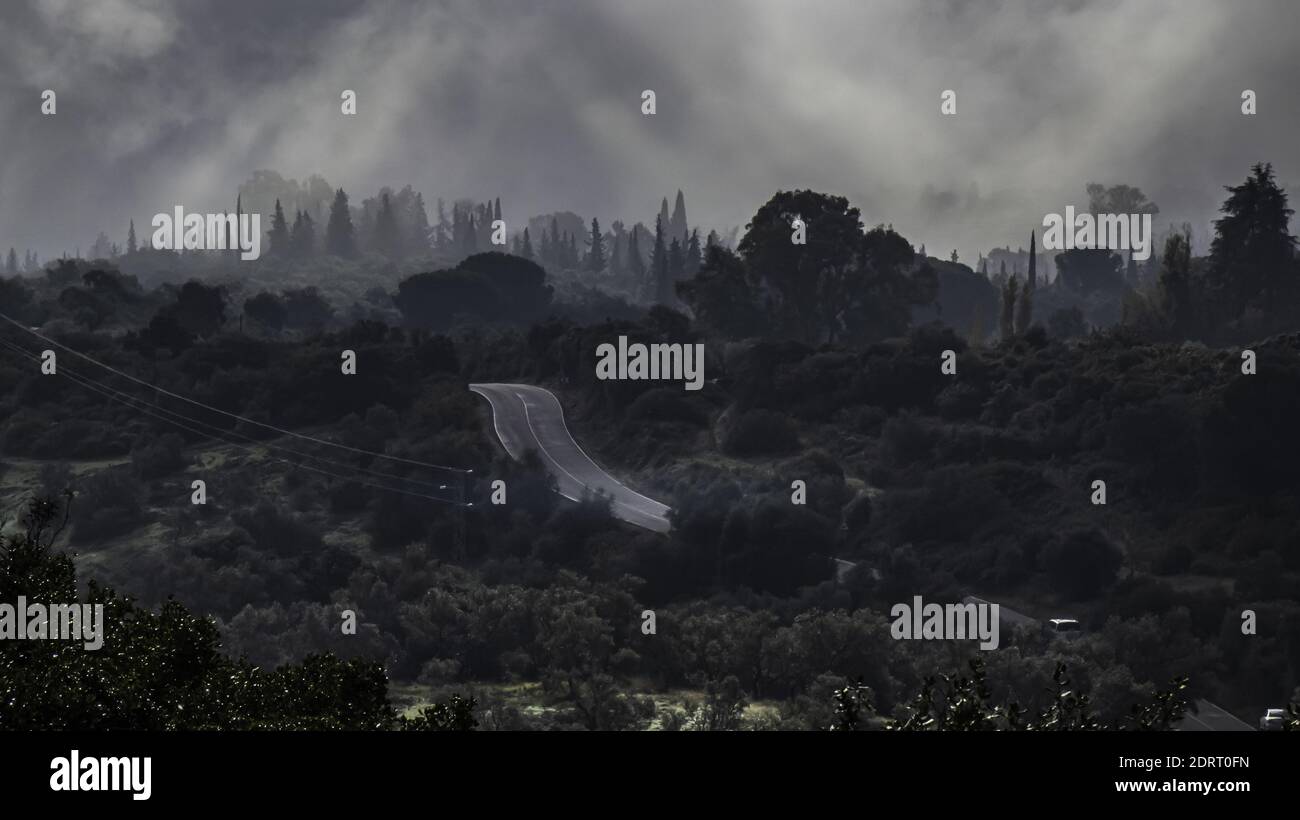 A road leading through an eery dark forest Stock Photo - Alamy