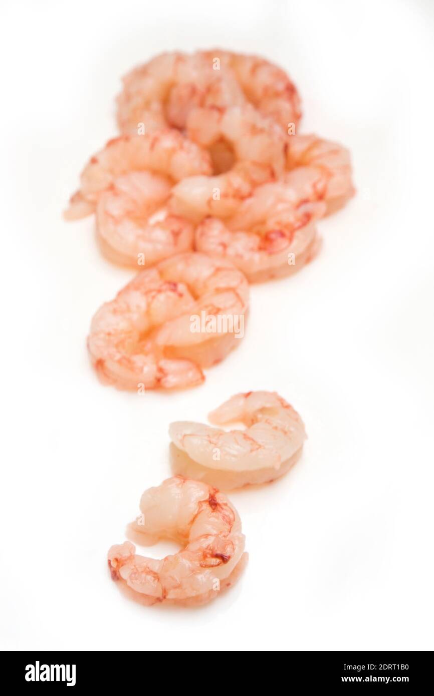 Argentinian raw peeled red shrimp isolated on a white studio background ...