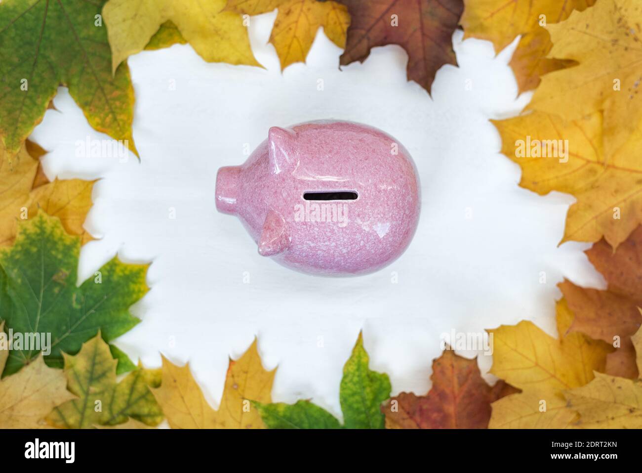 Piggy bank and autumn leaves hi-res stock photography and images - Alamy