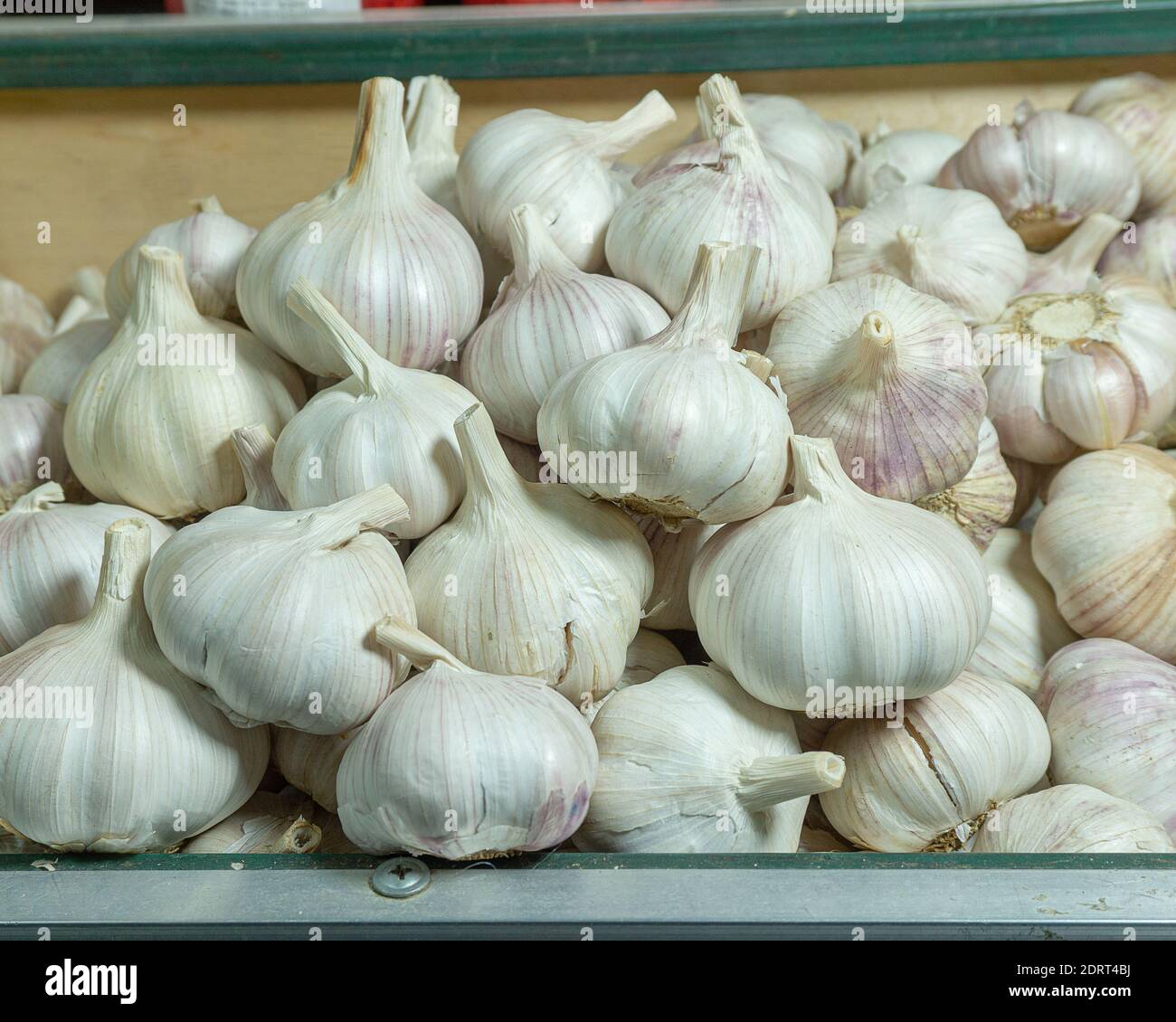 white garlic piled in a pile on the counter in the bazaar Stock Photo ...