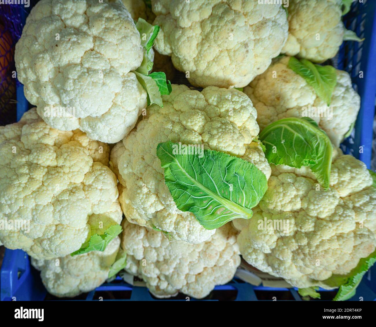 Green leaves cauliflower in hi-res stock photography and images - Alamy