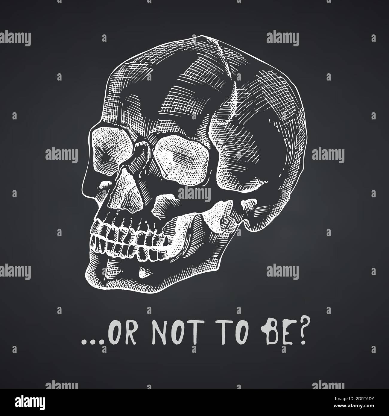 Old human skull view Stock Vector Images - Alamy