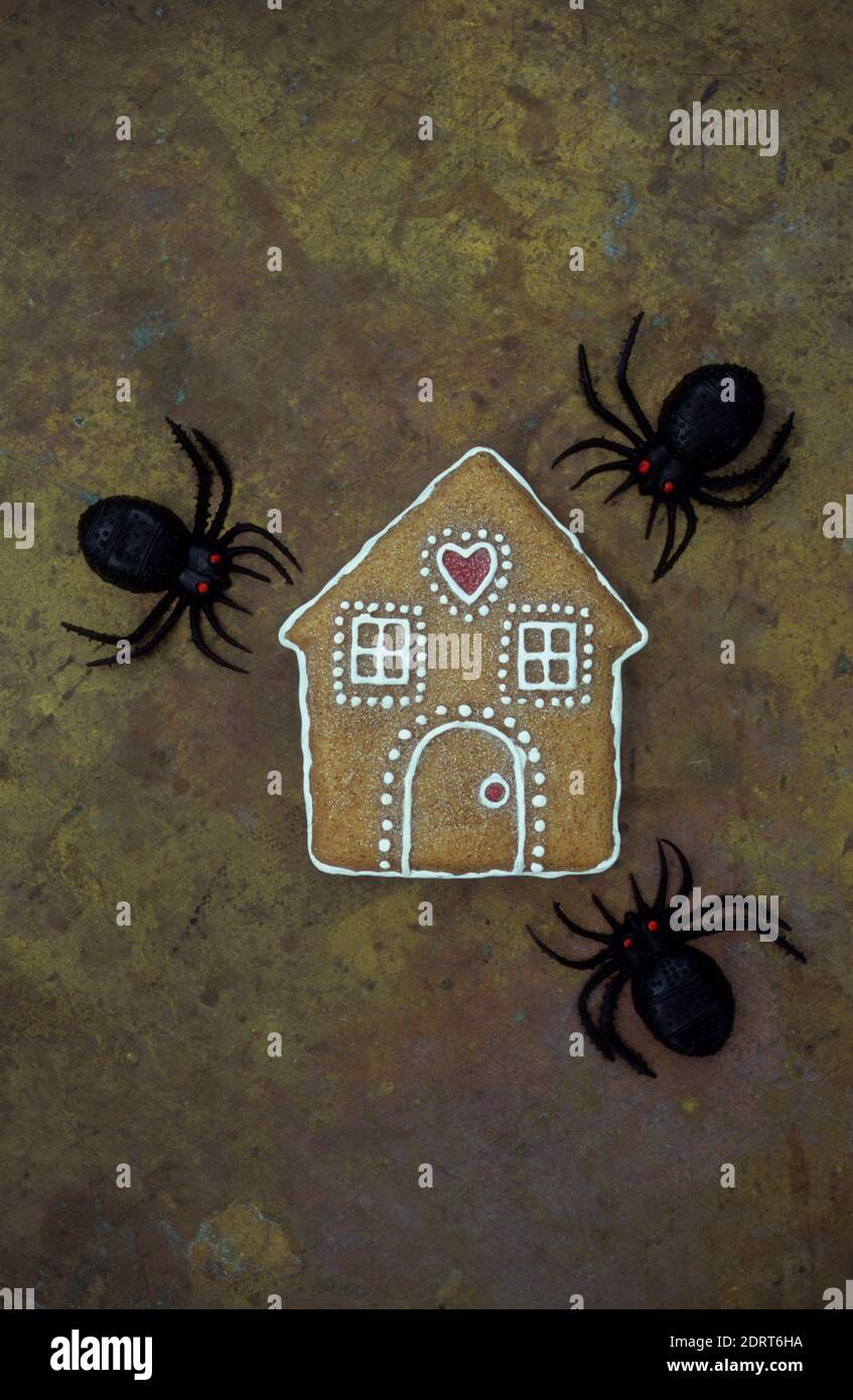 Giant house spider spiders hi-res stock photography and images - Alamy