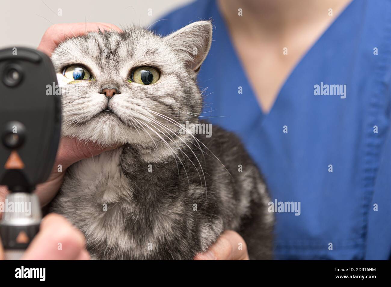 Slit lamp hi-res stock photography and images - Alamy