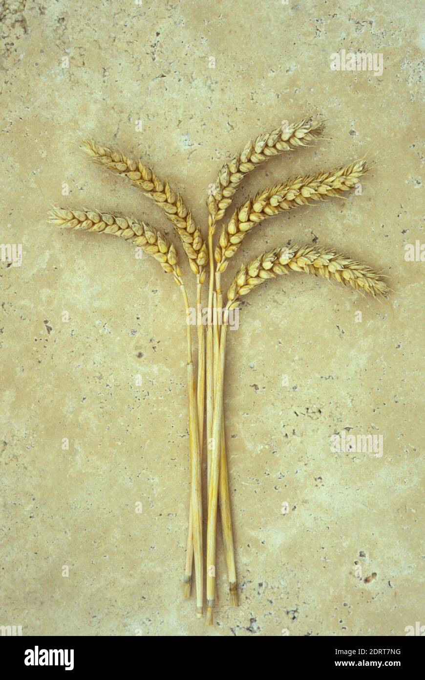 Upright stone slab hi-res stock photography and images - Alamy