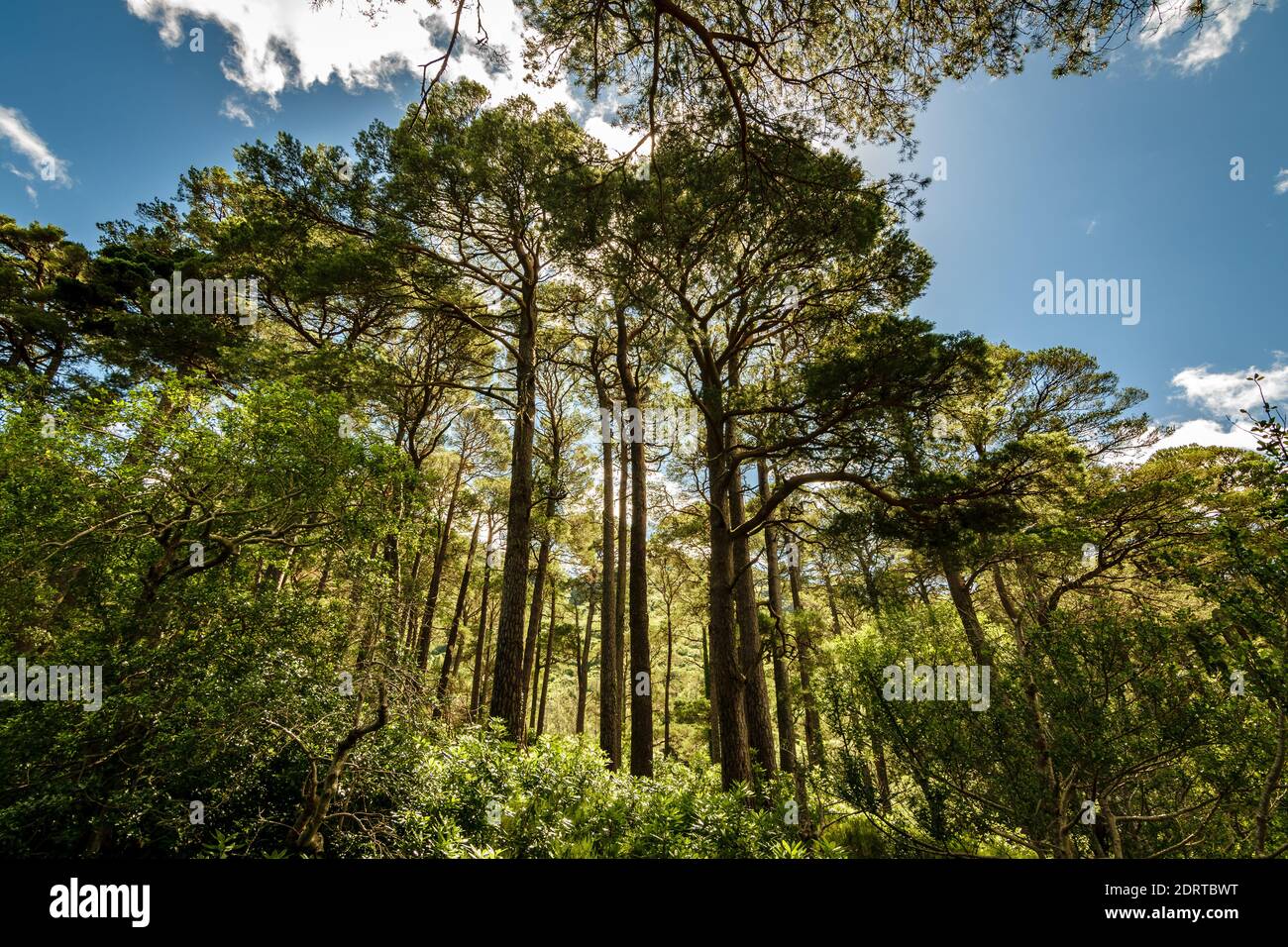 Wallpaper shot hi-res stock photography and images - Alamy