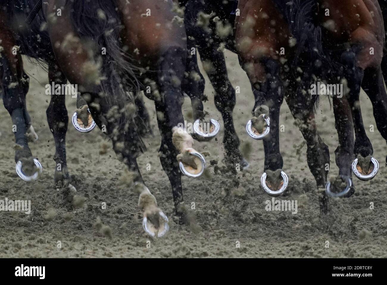 A general view of the kickback from the Polytrack surface as runners ...