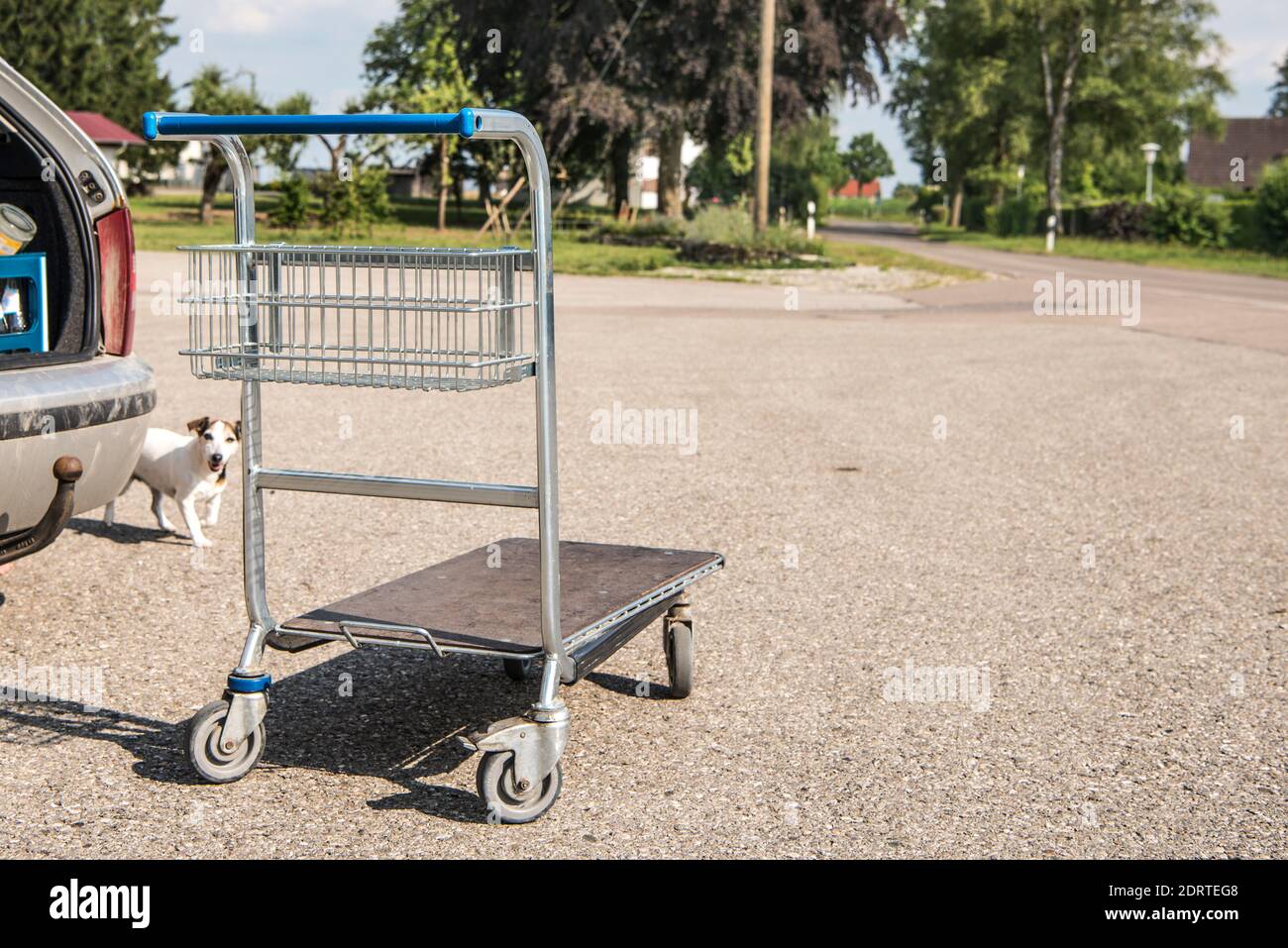 Shopping cart is standing by the car. Cute dog at the vehicle Stock ...