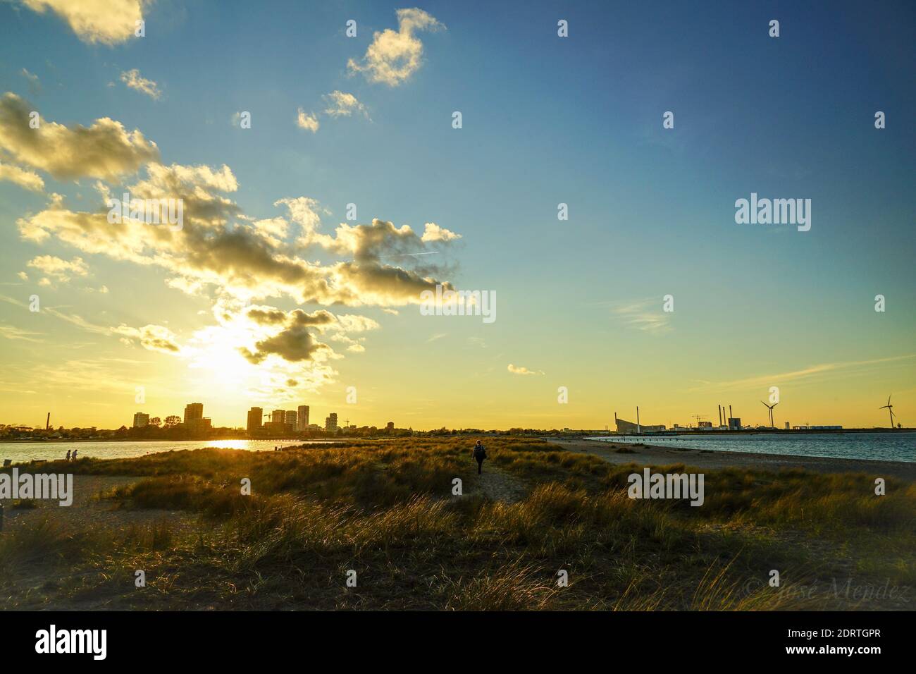 Copenhagen sunset grass hi-res stock photography and images - Alamy