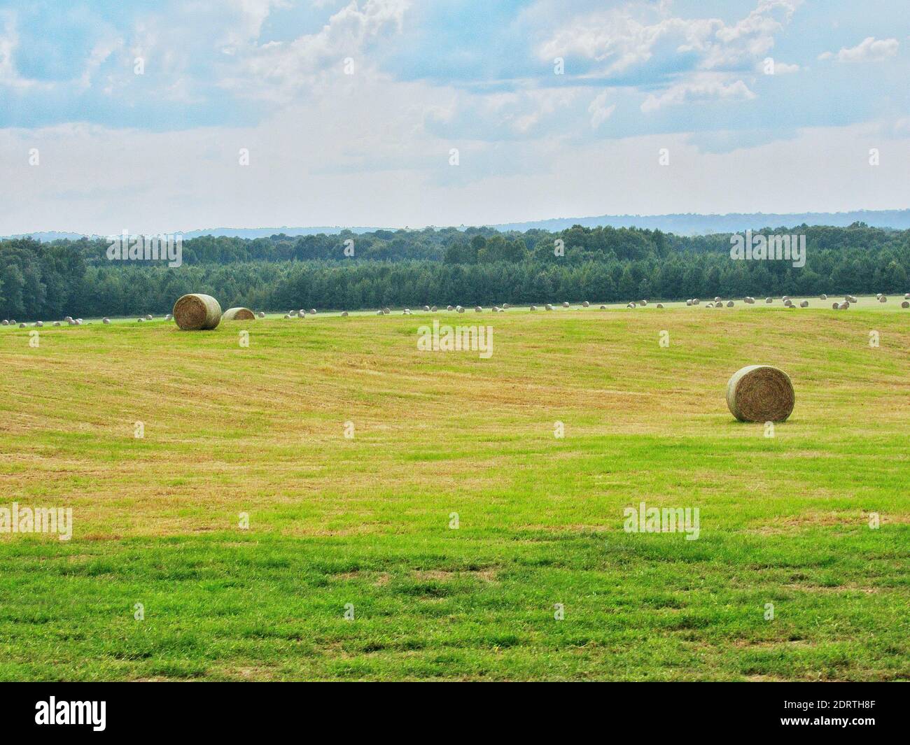 Round hay bails hi-res stock photography and images - Alamy