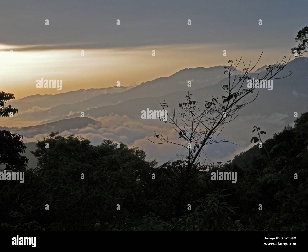 Wushe hi-res stock photography and images - Alamy