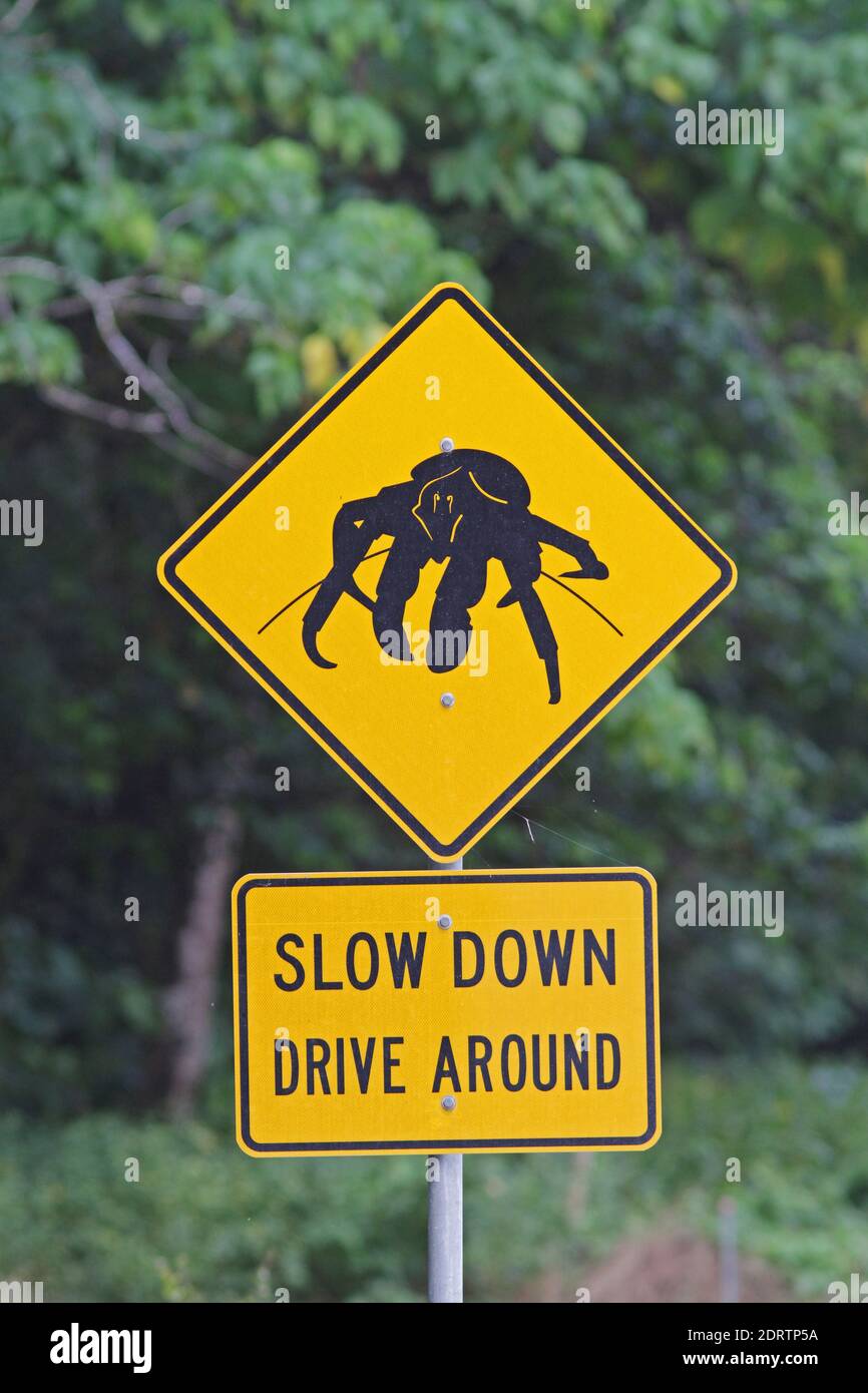 Crab bord, Crab sign Stock Photo - Alamy