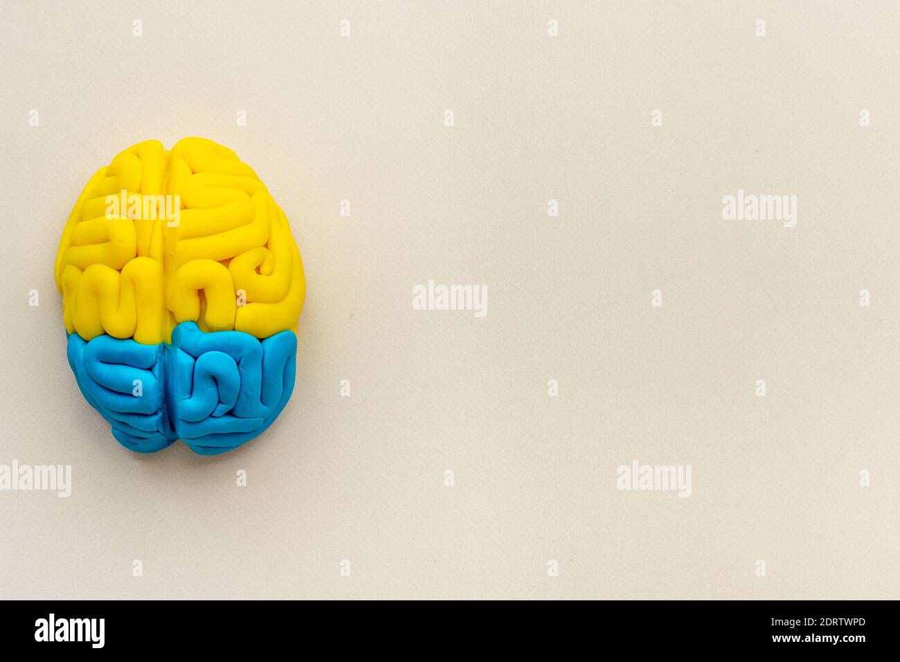 Mental health concept. Human brain of colorfull clay, top view Stock ...