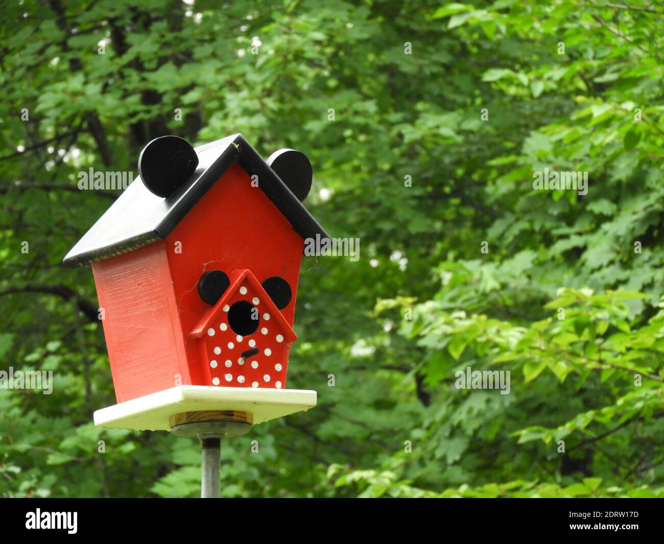 Red bird house hi-res stock photography and images - Alamy