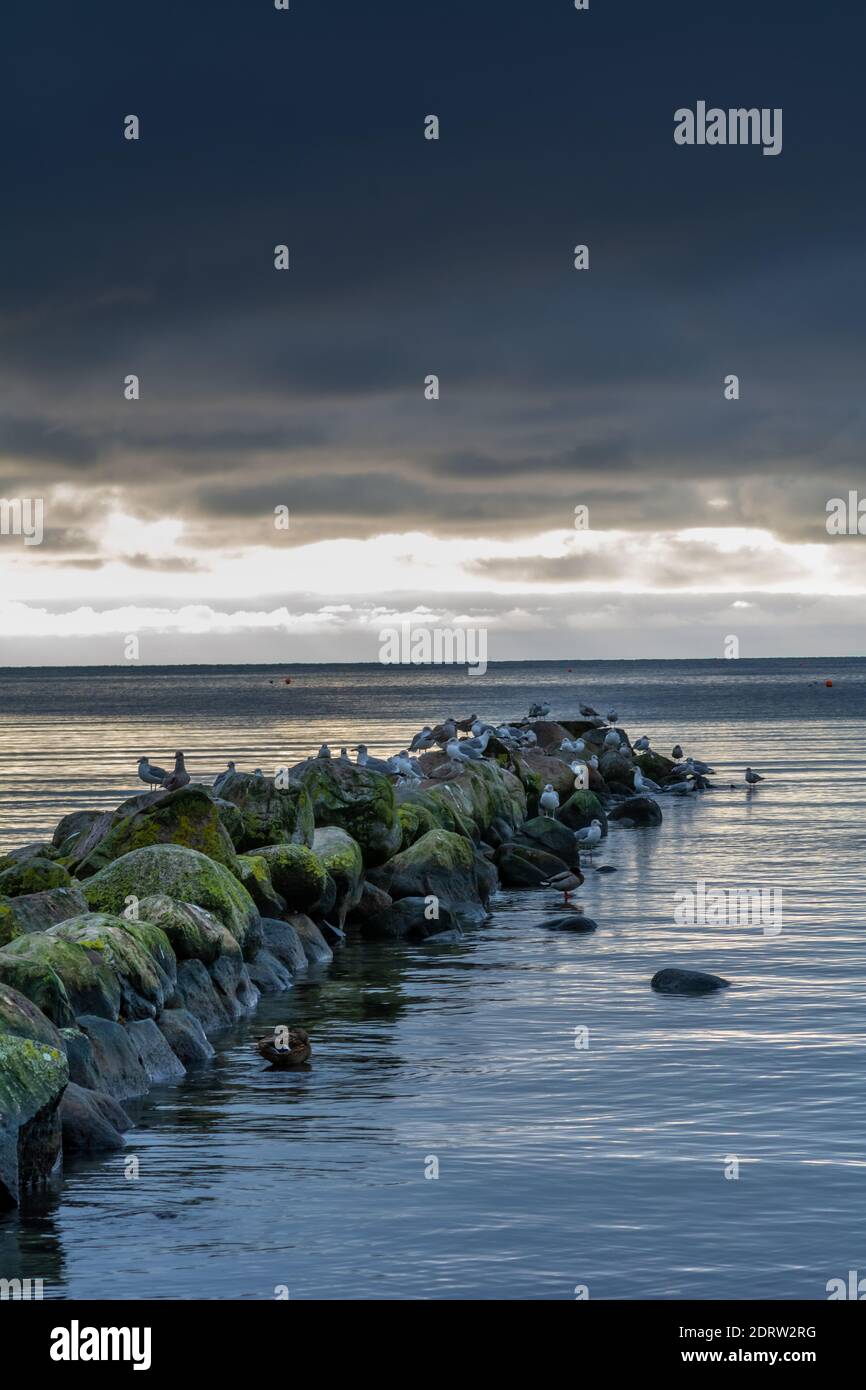 A beautiful sunset over the green boulders on a wave breaker. Photo ...