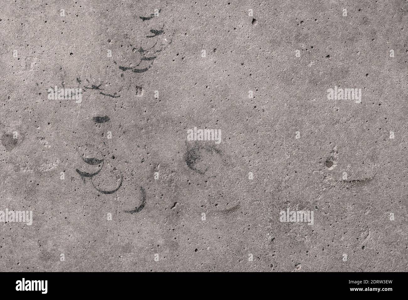Concrete surface texture as background, top view image Stock Photo - Alamy