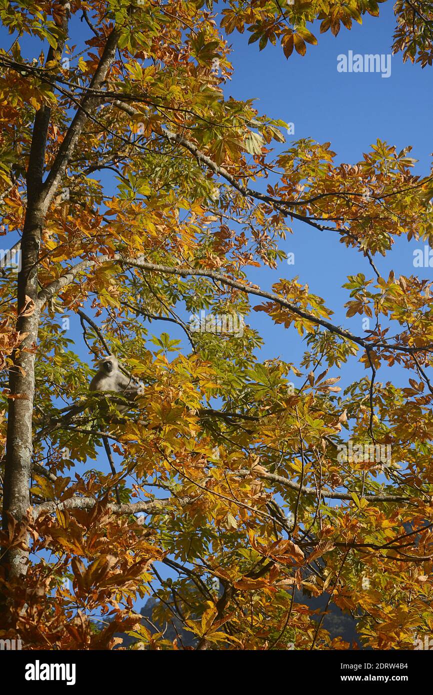 The Colors Of Nature Stock Photo - Alamy