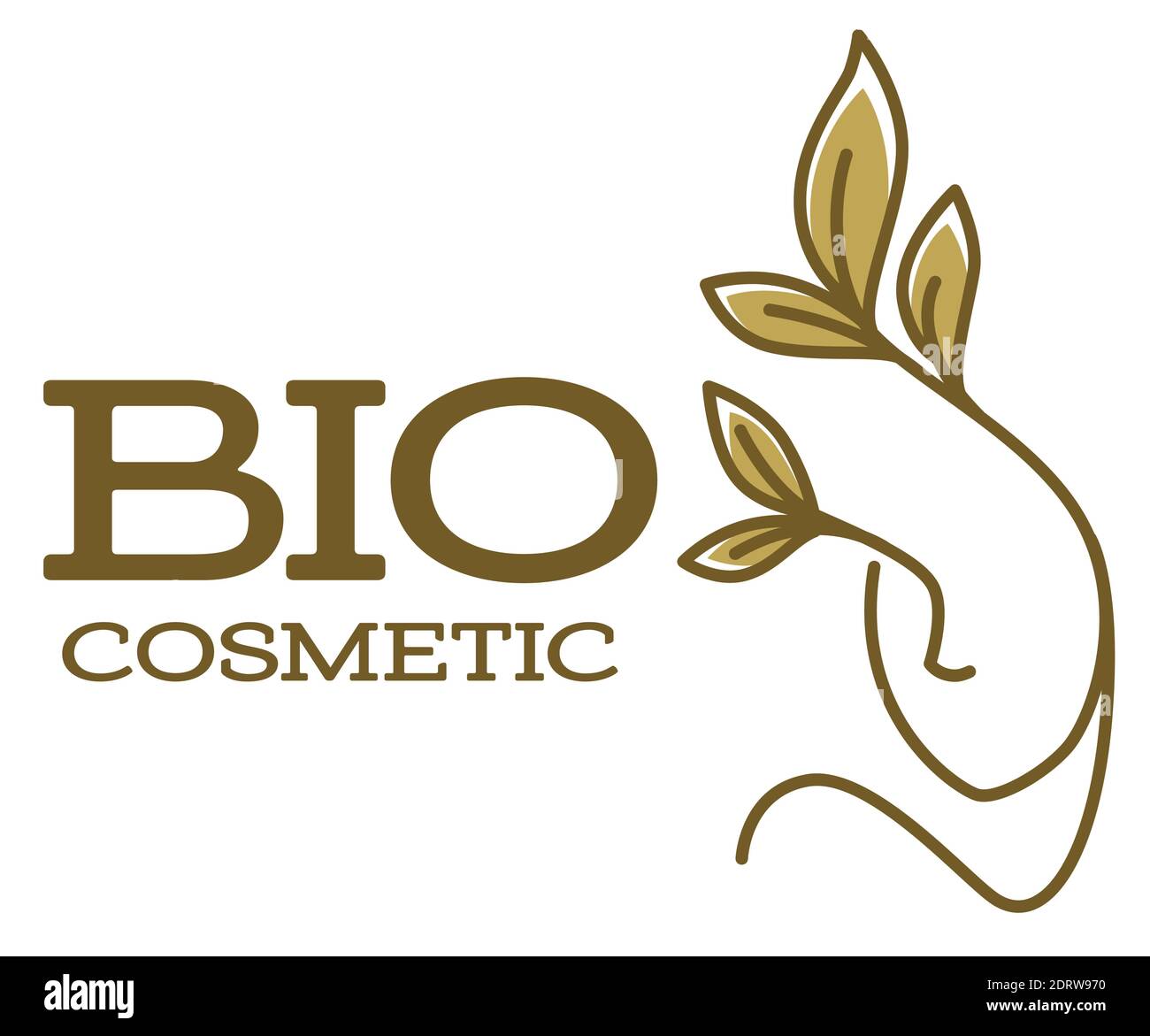 Cosmetic ingredients natural product Cut Out Stock Images & Pictures ...