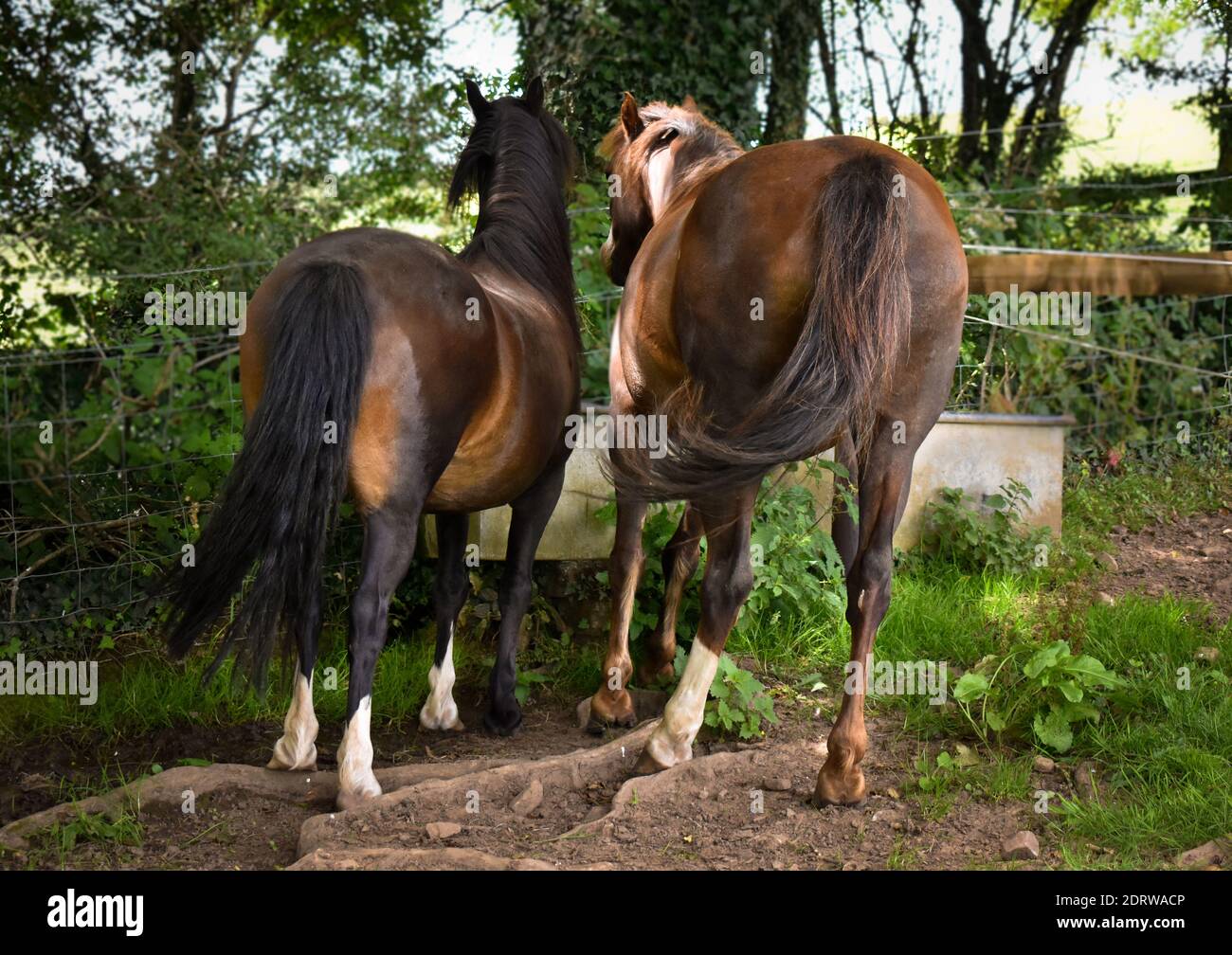 Two bottoms hi-res stock photography and images - Alamy