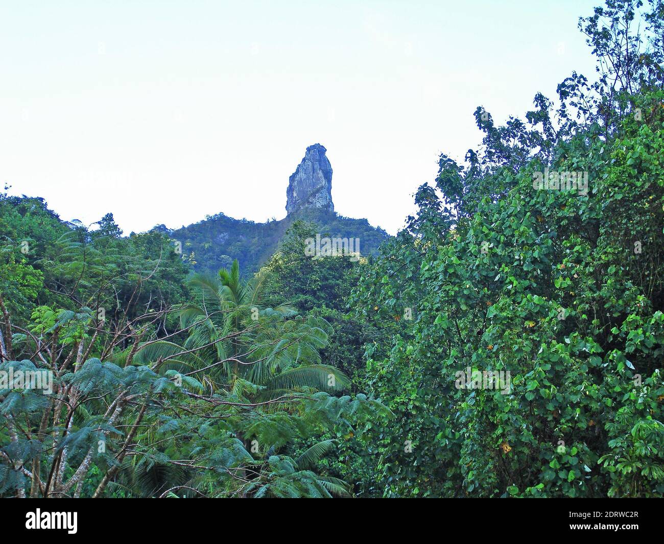 Landscape Rarotonga island, Cook Islands Stock Photo - Alamy