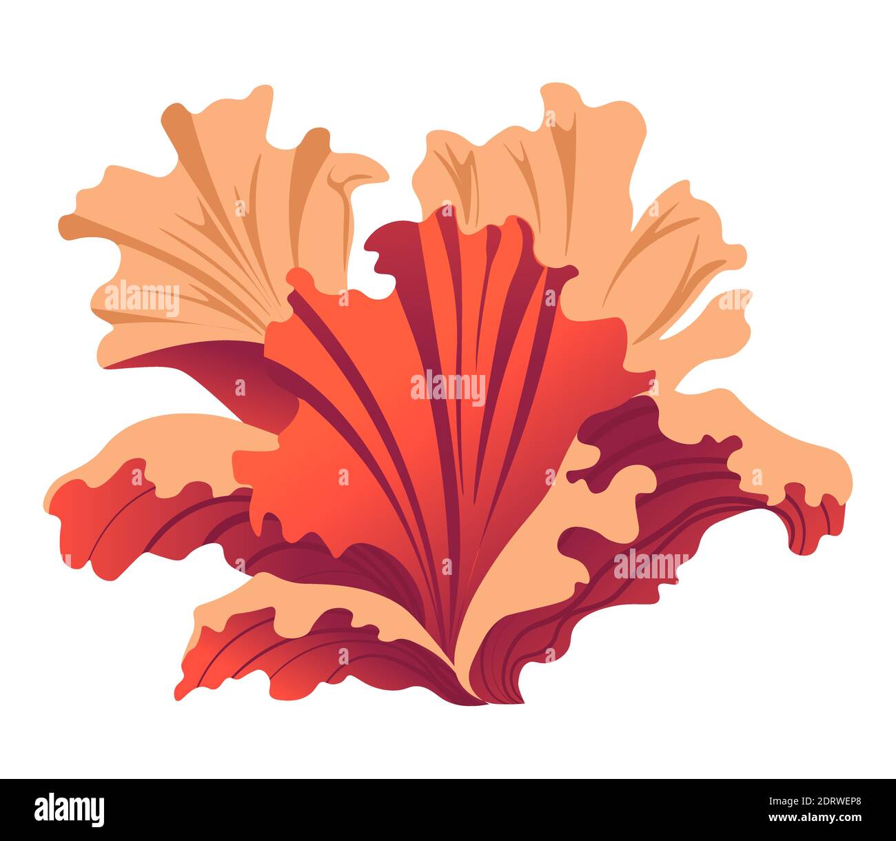 Colorful red seaweed underwater or aquarium vector Stock Vector Image ...