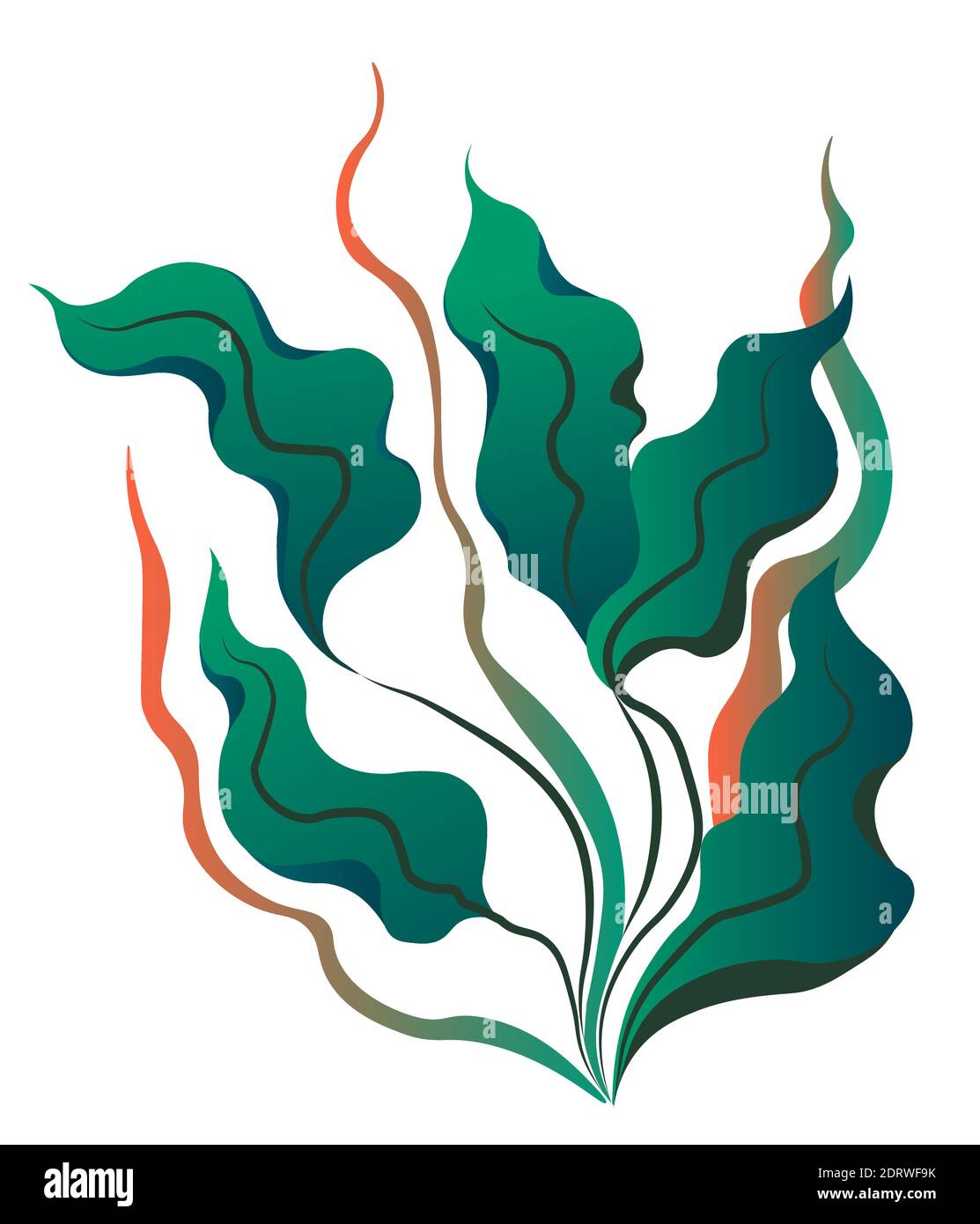 Seaweed detail Stock Vector Images - Alamy