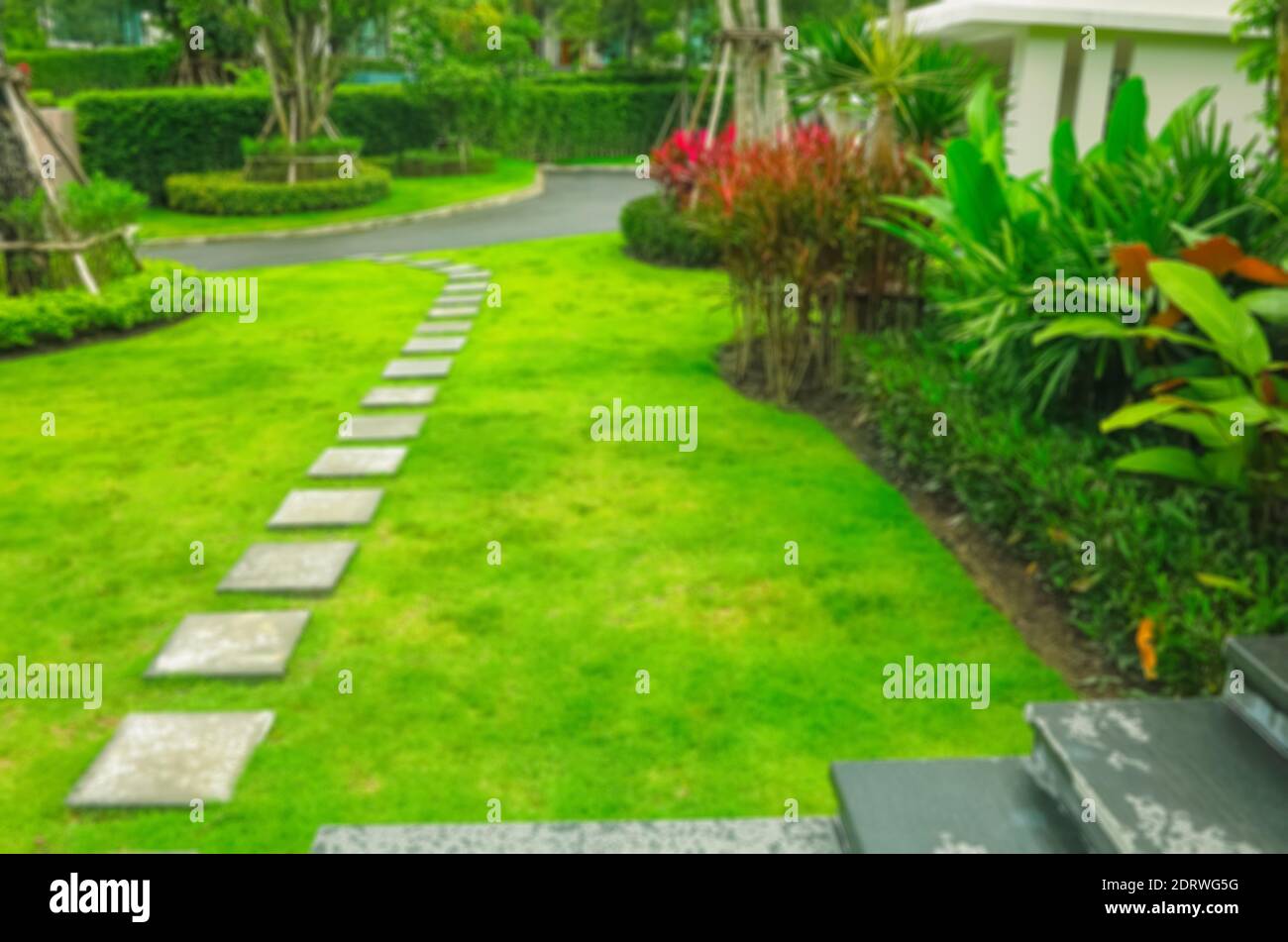 Stepping stone path in lawn hi-res stock photography and images - Alamy
