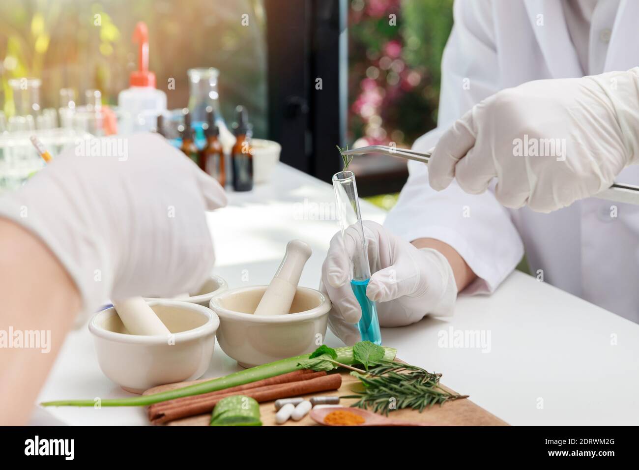 Plant capsule lab hi-res stock photography and images - Alamy