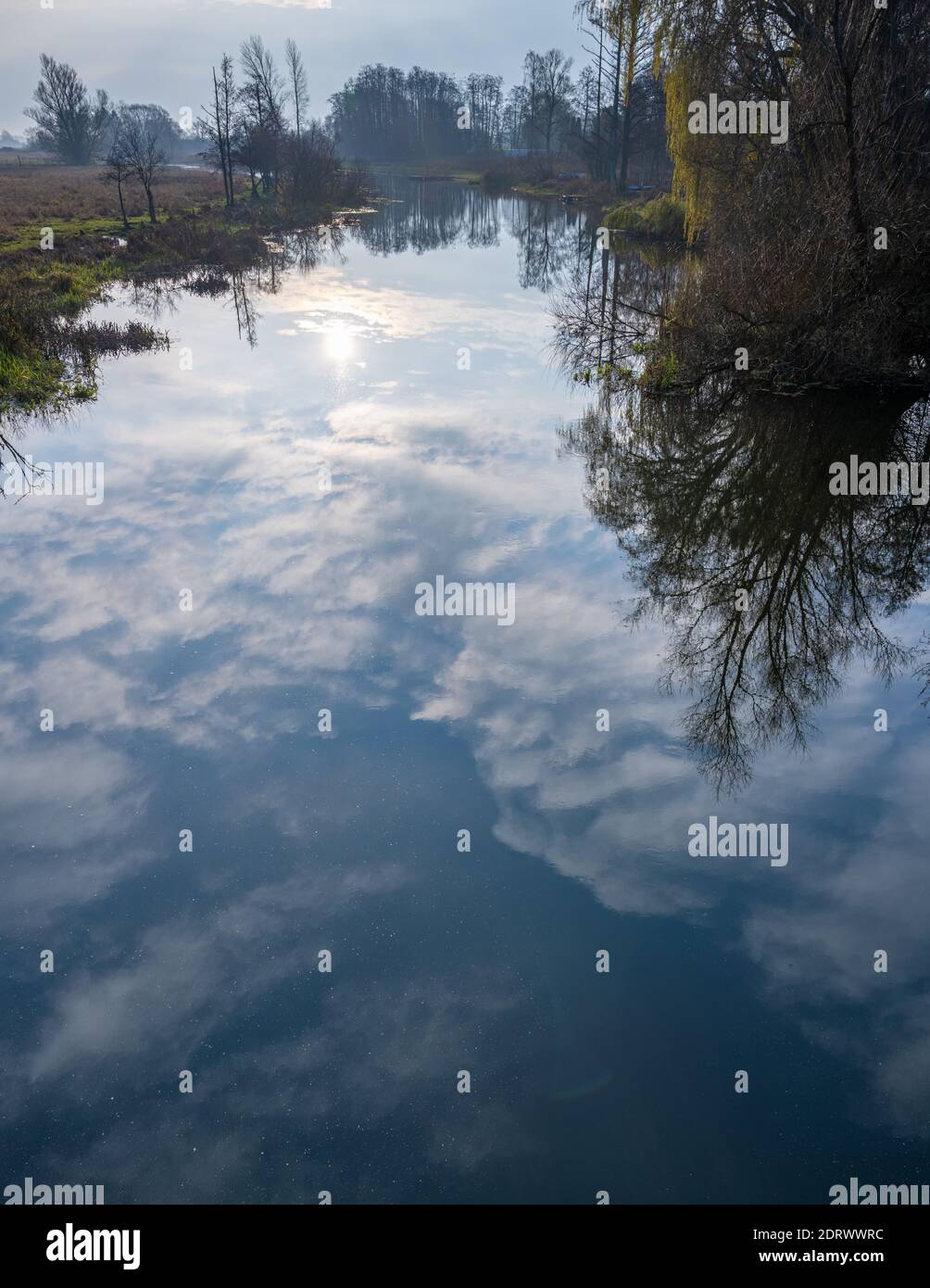 A backlit photo of tree and cloud reflections in a river. Beautiful ...