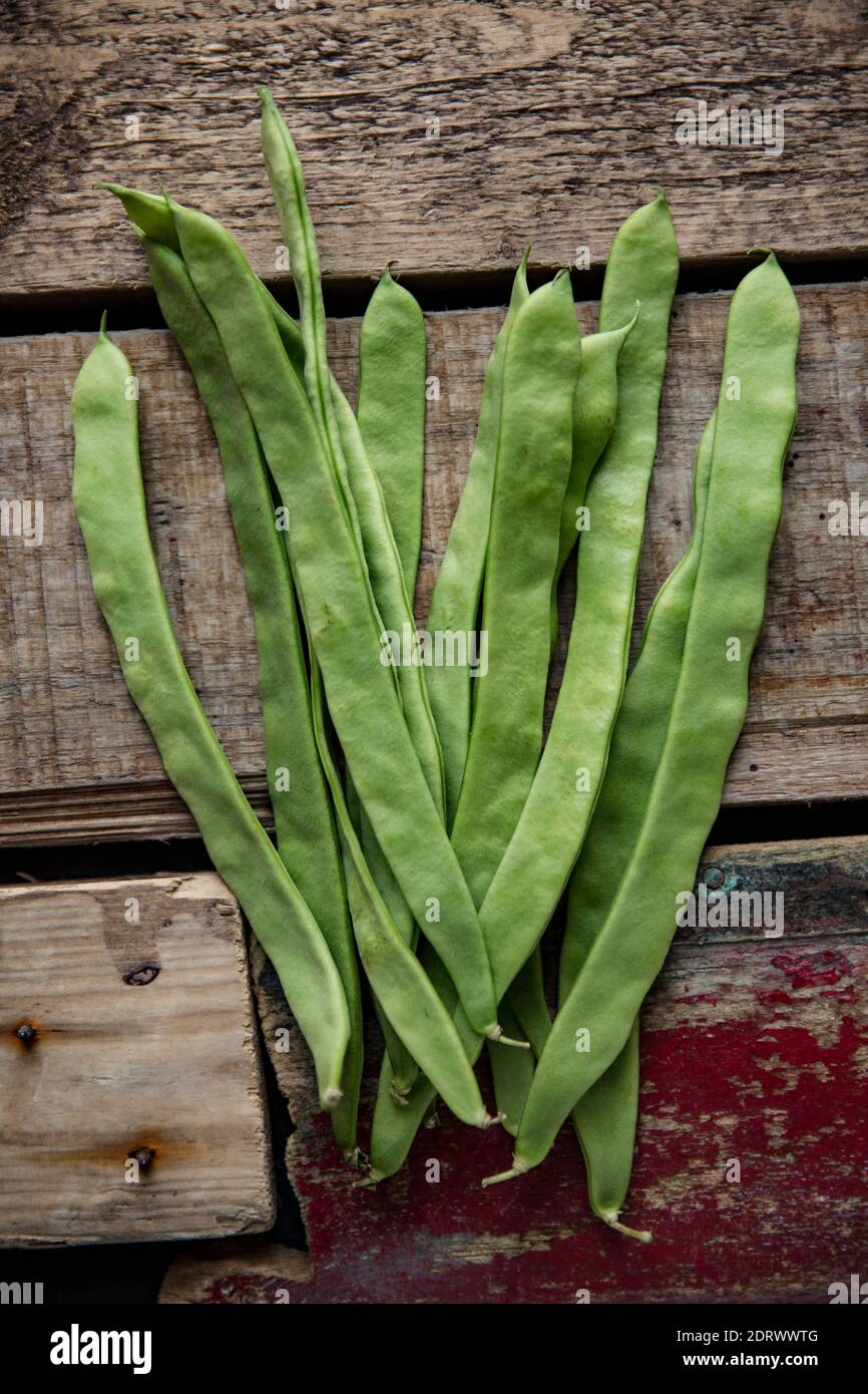 Runner beans bought from a supermarket in the UK. England UK GB Stock ...