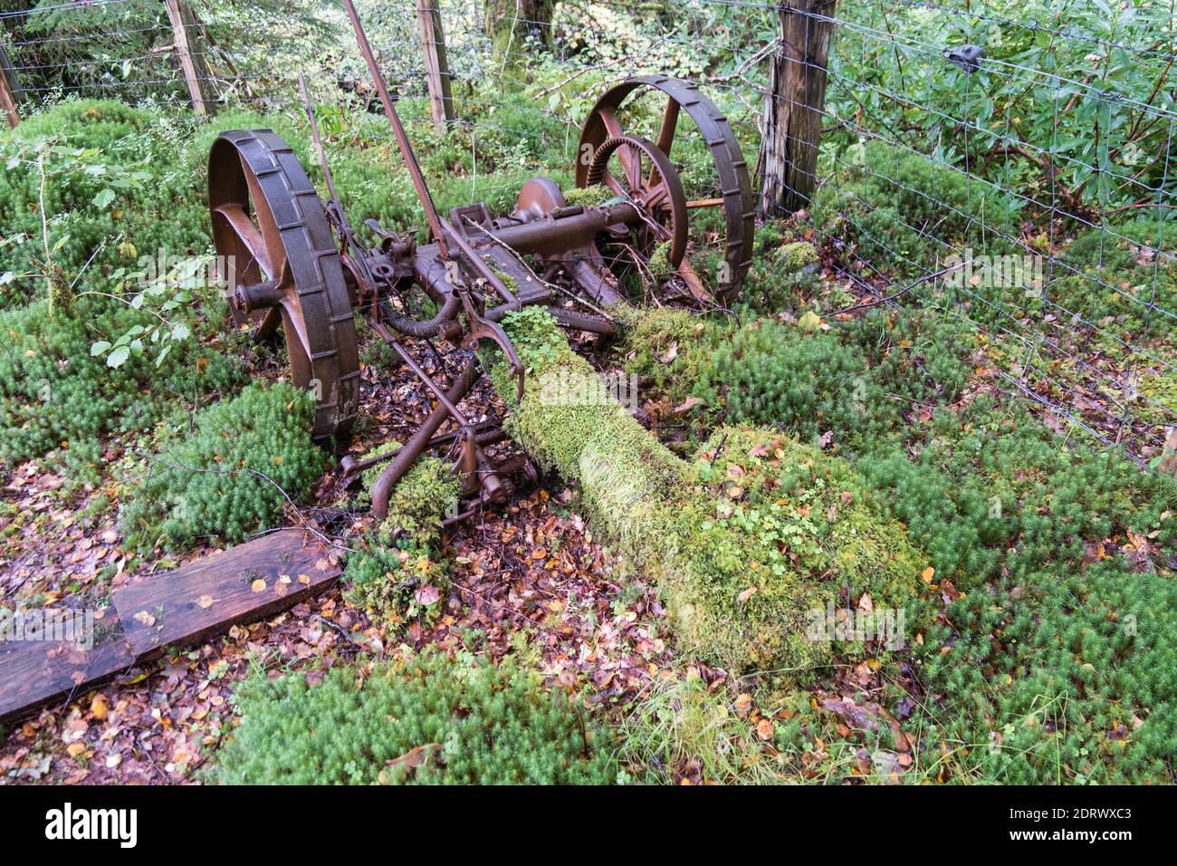 Overgrown farm machinery hi-res stock photography and images - Alamy