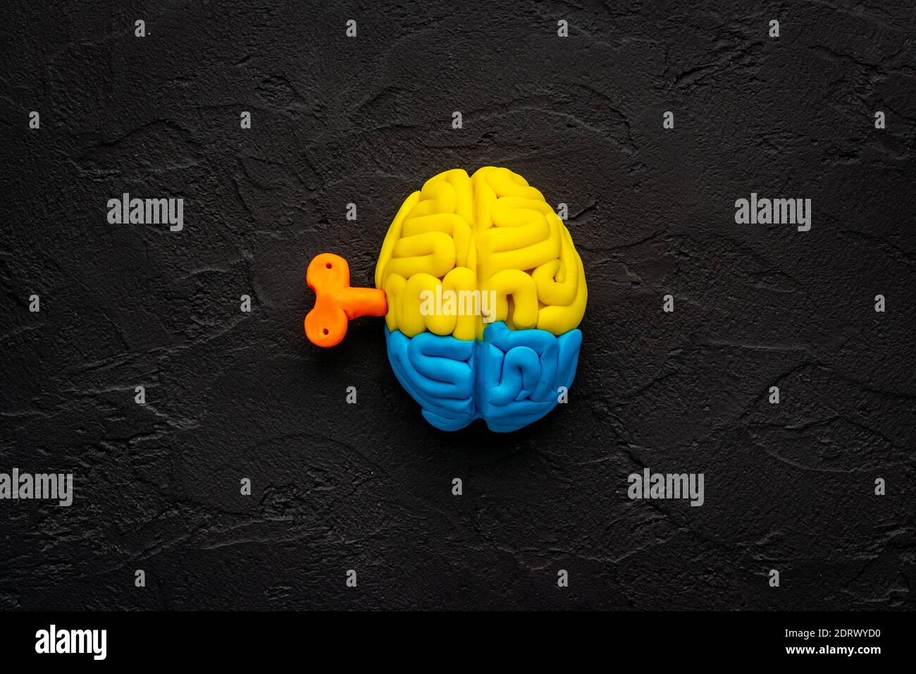 Clay model of human brain hi-res stock photography and images - Alamy