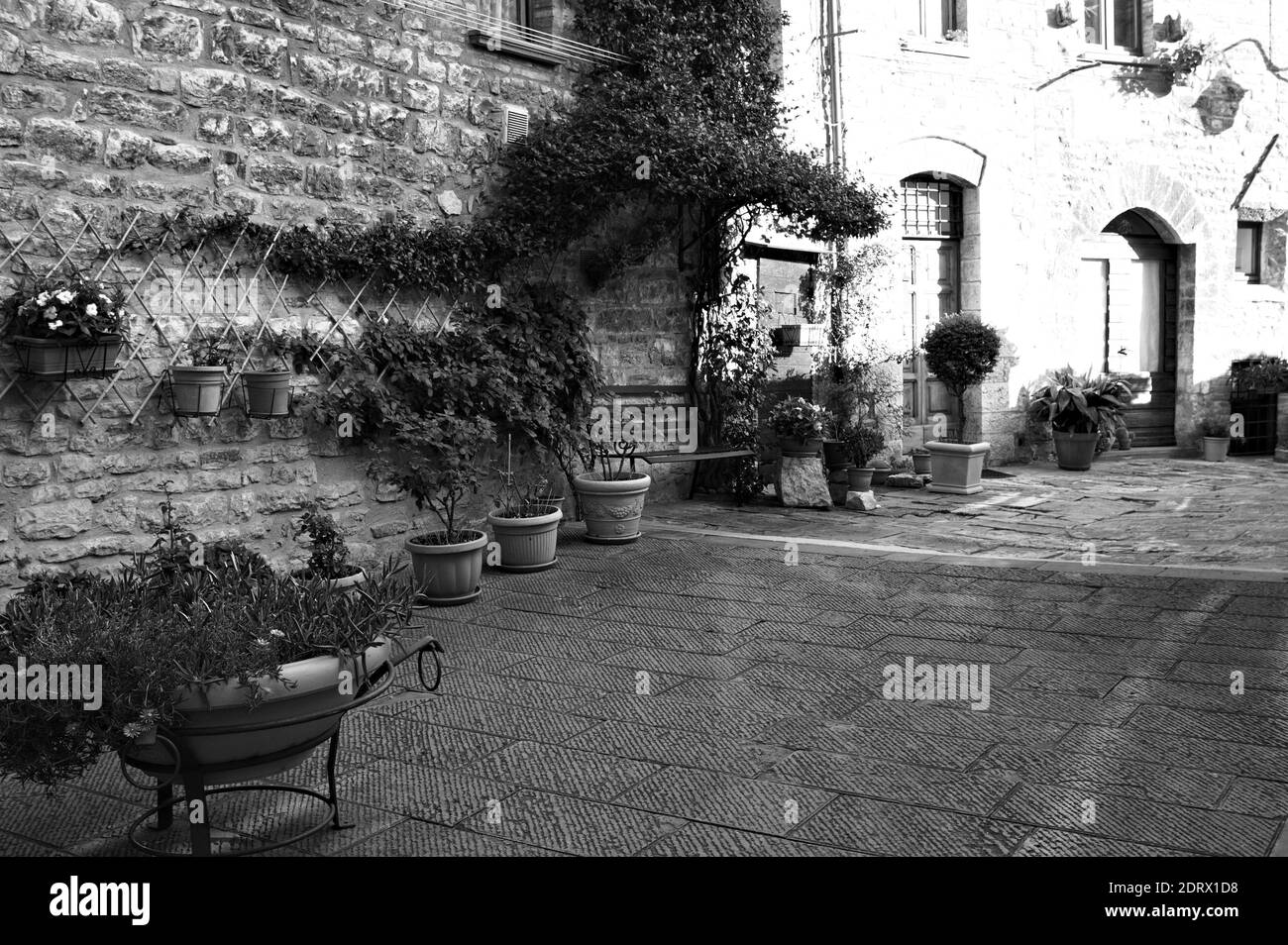 A stone wall with ivy, plants and clay pots in a medieval italian ...