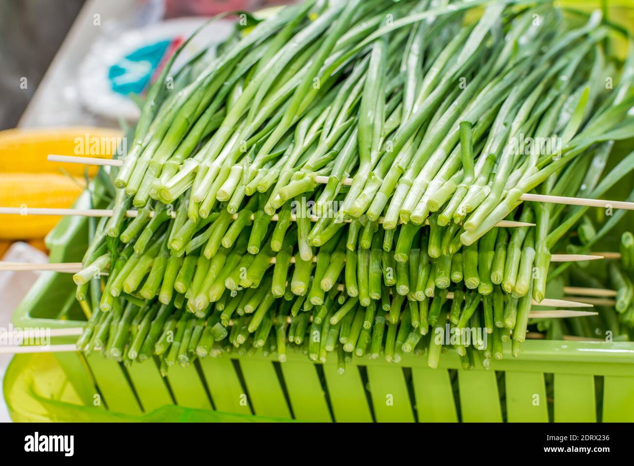 Green Chinese chives vegetable in row for barbecue Stock Photo - Alamy